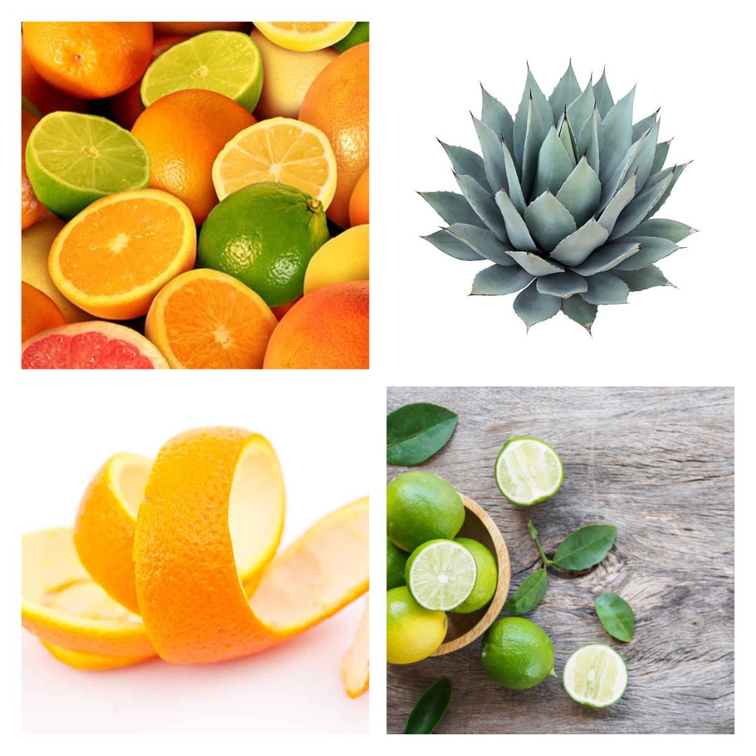 Citrus Agave Handmade Natural Soy Summer Candle | ScentWick Candles ...